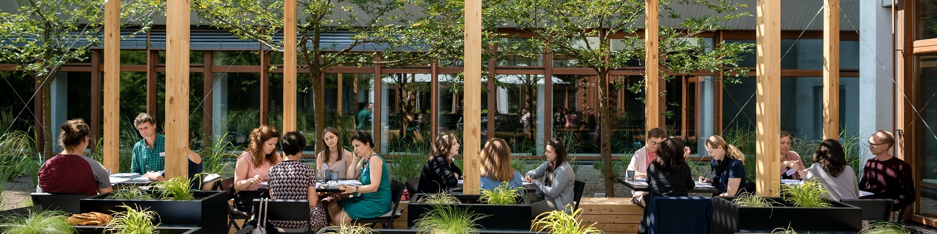 Praxistraining: Ayurveda-Seminare vor Ort | AYUMED Akademie